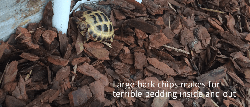 Best Tortoise Substrates – The Tortoise Keeper
