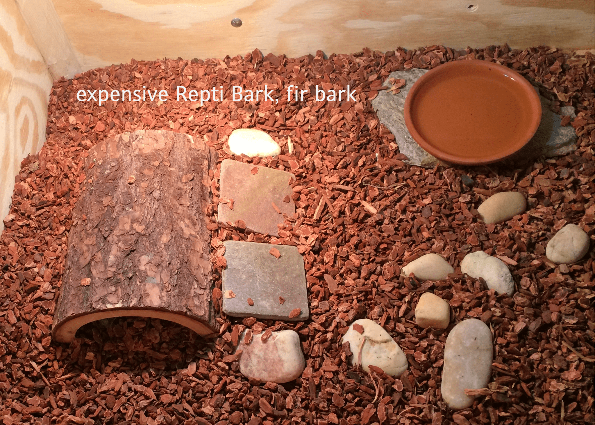 Best Tortoise Substrates – The Tortoise Keeper